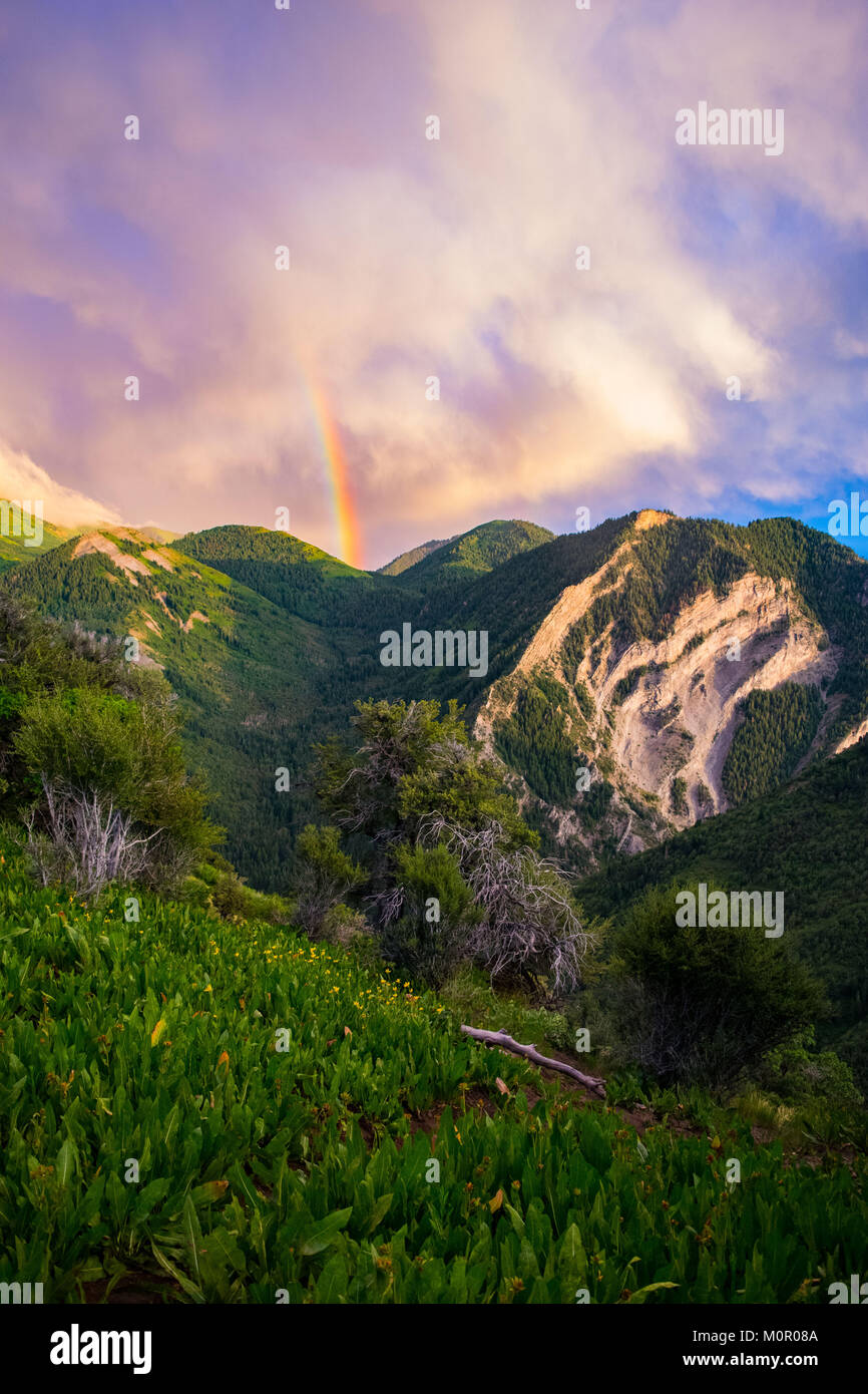 Beautiful rainbow over valley hi-res stock photography and images - Alamy