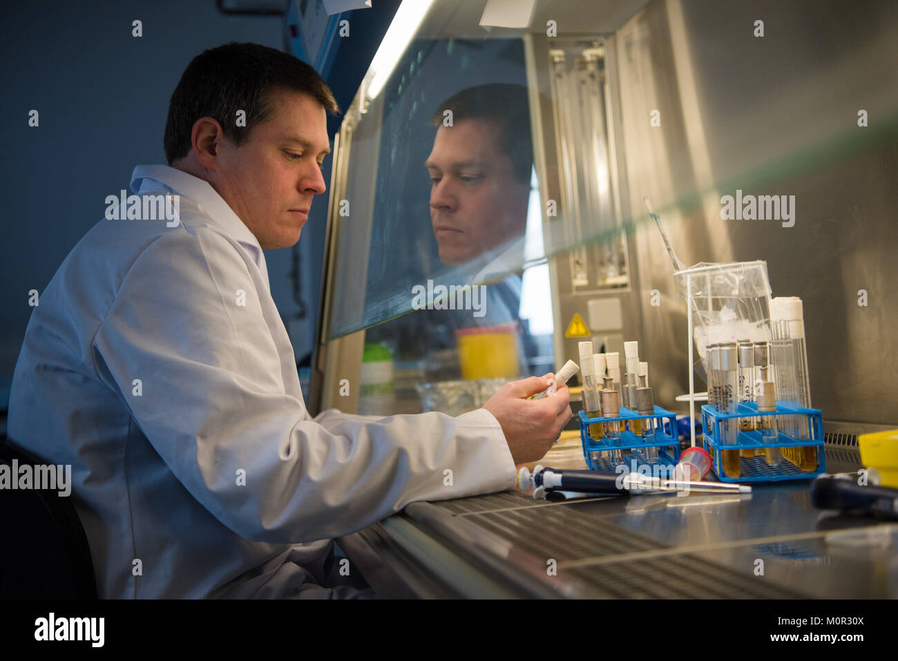 Candida auris hi-res stock photography and images - Alamy