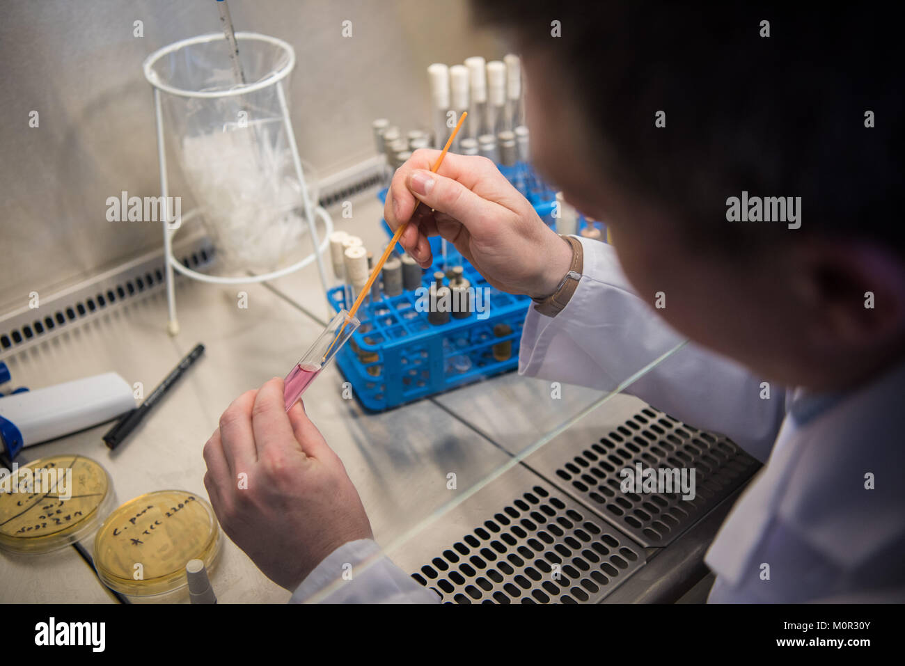 Test tube with yeast sample hi-res stock photography and images - Alamy