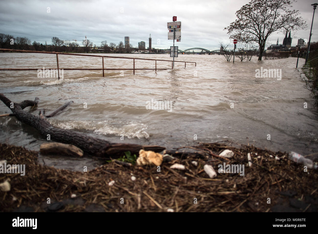 Cologne, Germany. 24th Jan, 2018. The waters of the Rhine flooding over ...