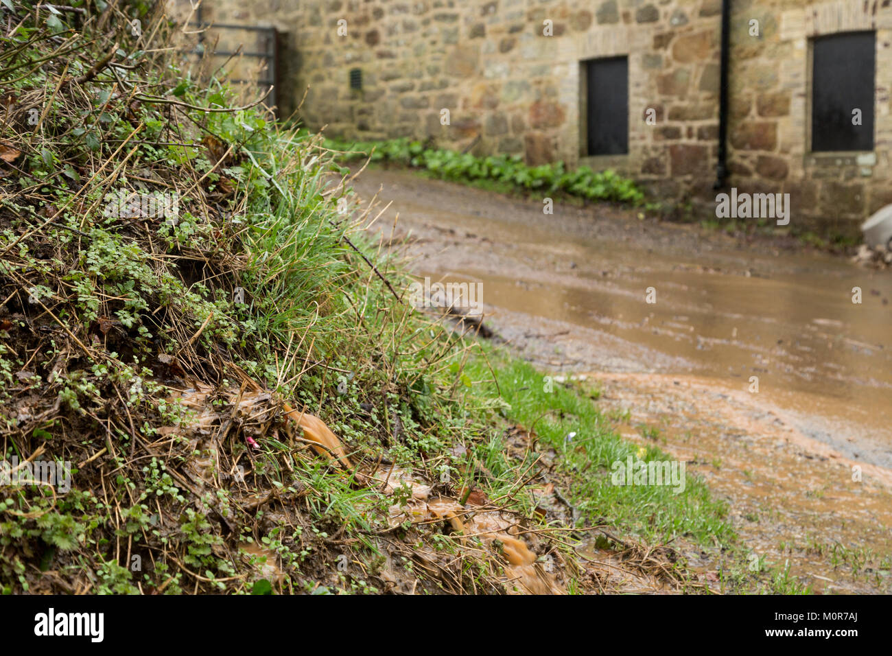 Cornwall, UK. 24th Jan, 2018. Heavy rainfall has caused localised ...
