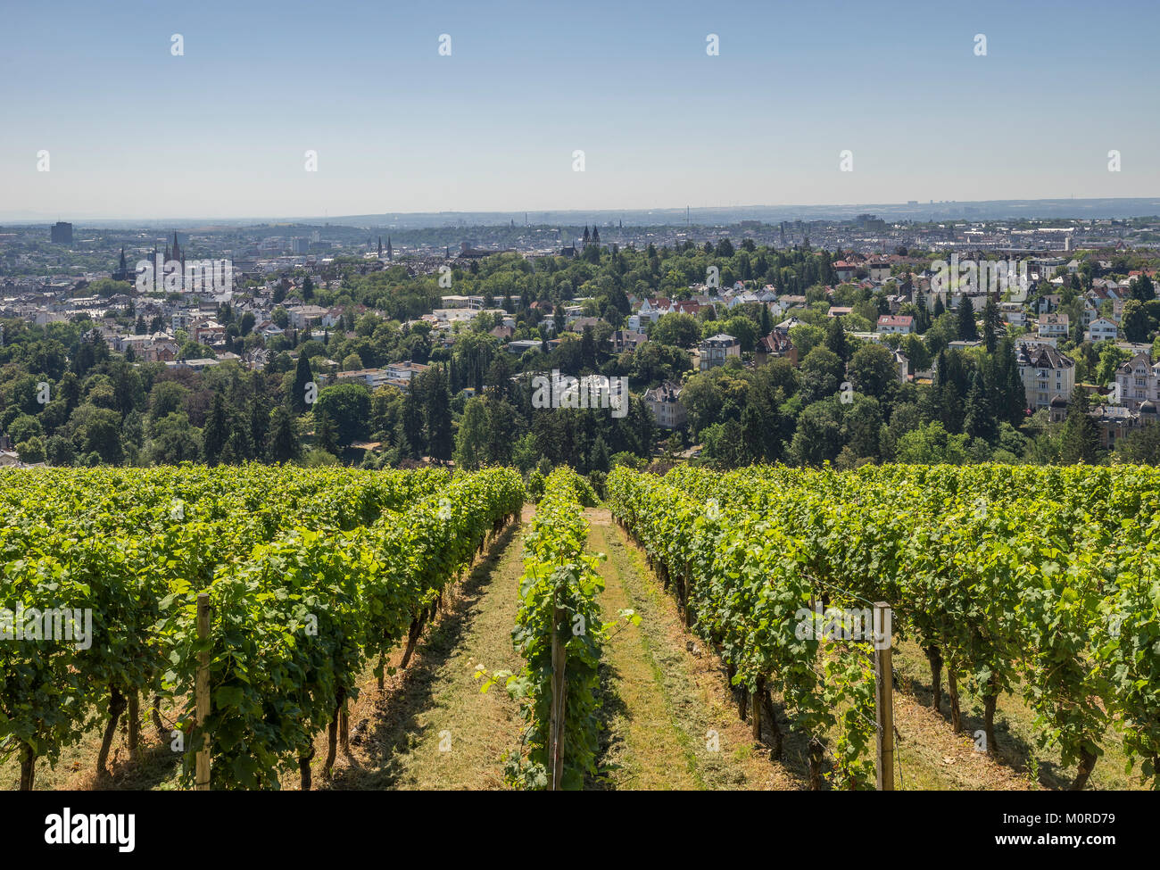 Germany, Hesse, Wiesbaden, View from Neroberg Stock Photo - Alamy