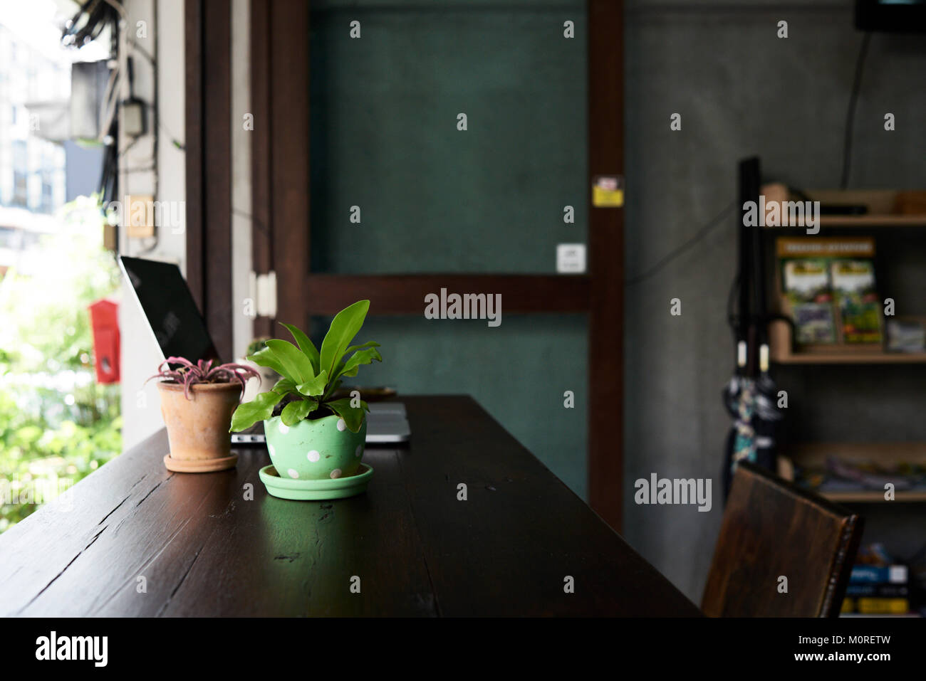 Plants inside hi-res stock photography and images - Alamy