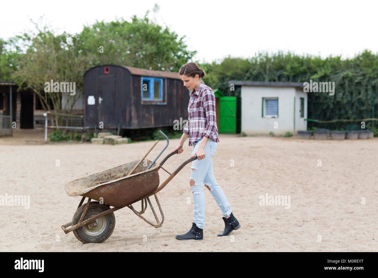 Woman walking with wheelbarrow on horse farm Stock Photo - Alamy