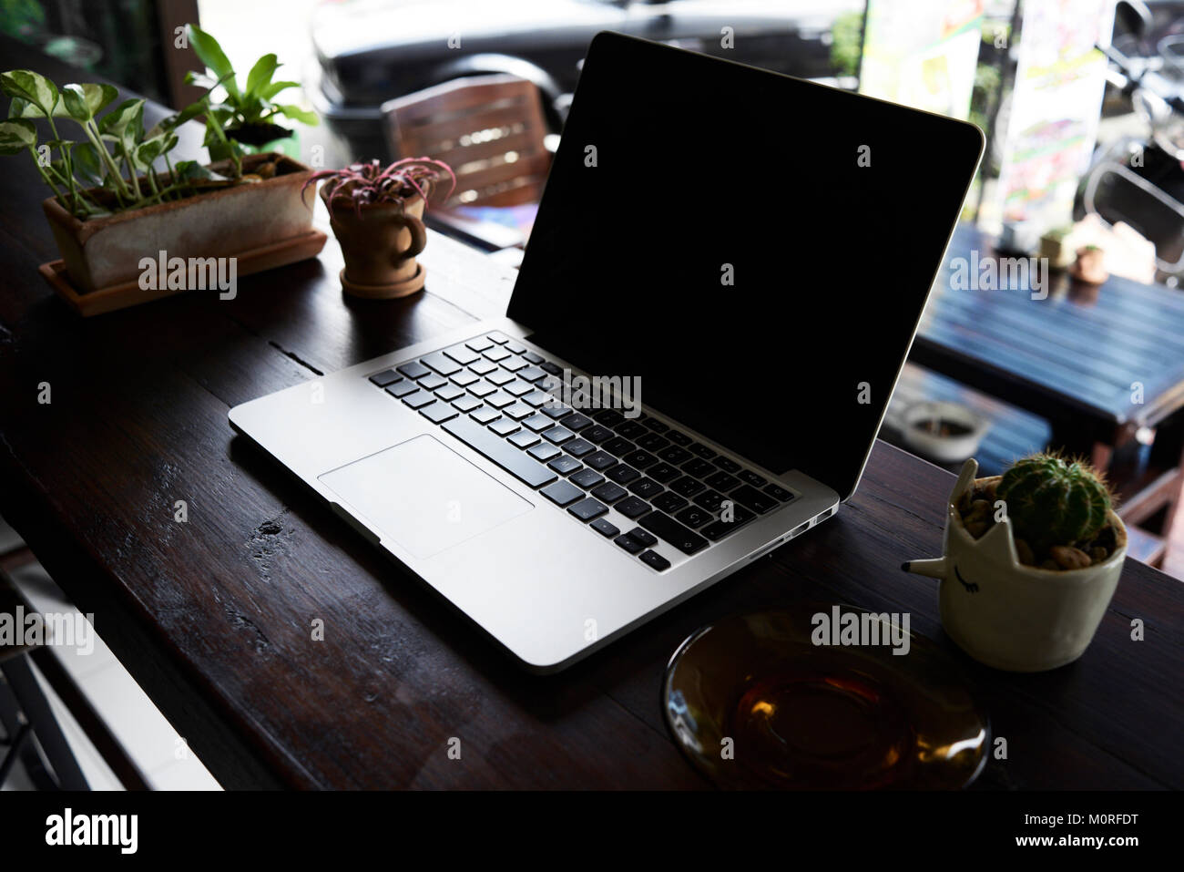 Wooden plants hi-res stock photography and images - Alamy