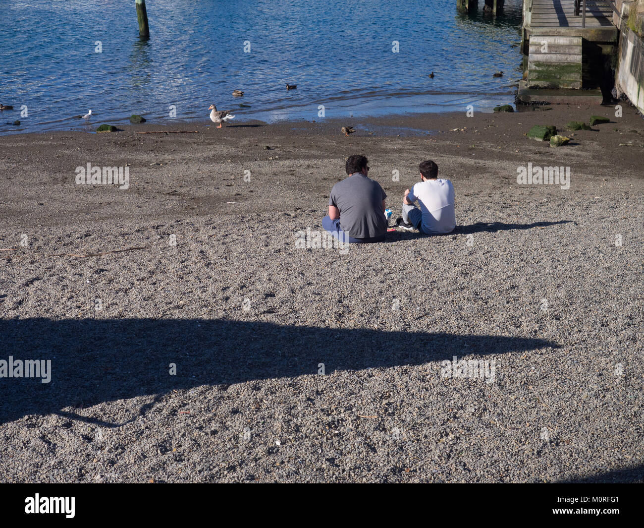 Two People Sitting On The Beach Stock Photo - Alamy