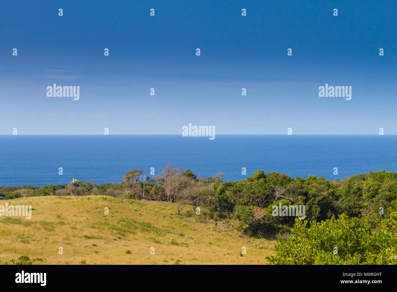 Isimangaliso Wetland Park landscape, South Africa. Beautiful panorama ...