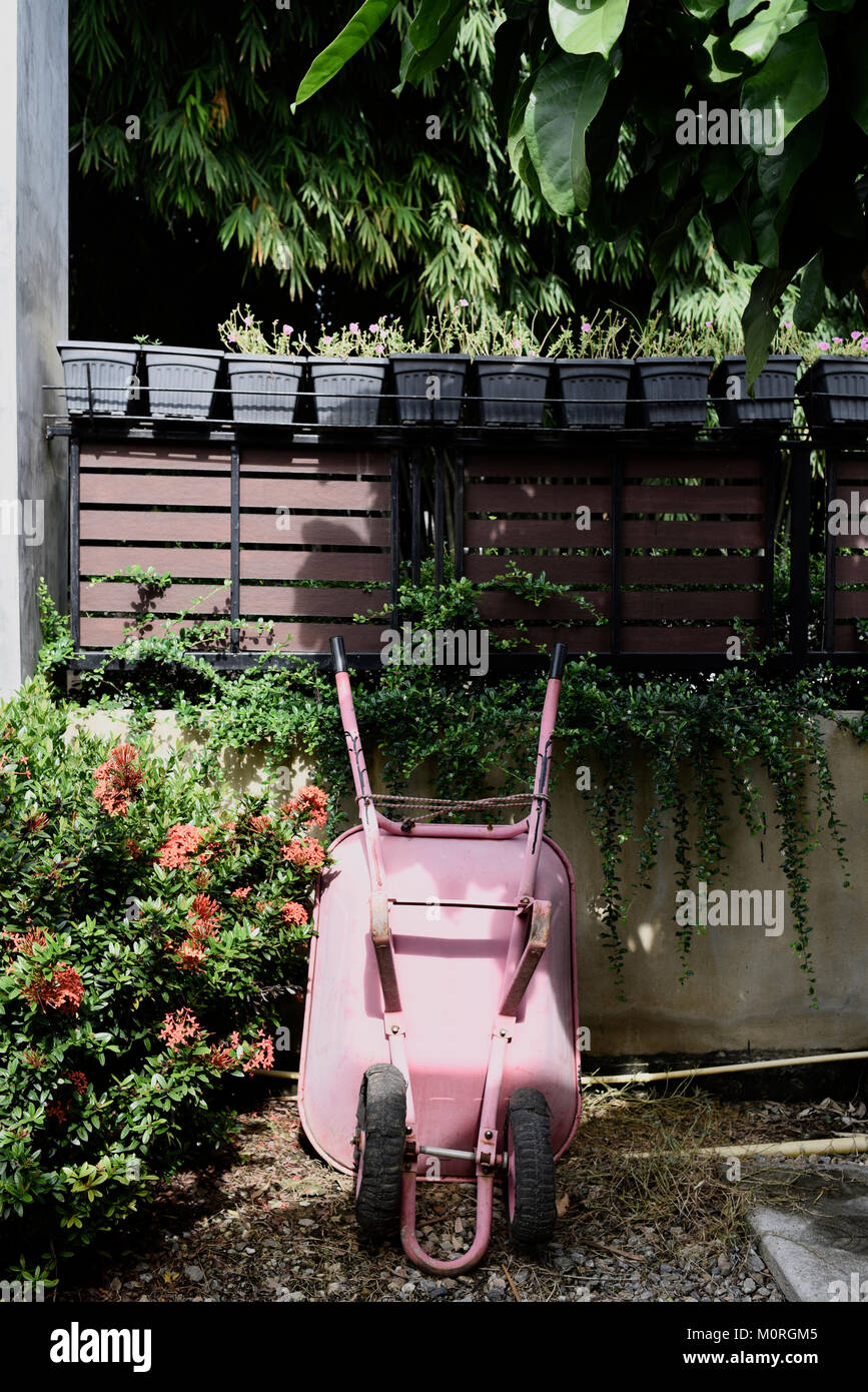 Pink wheelbarrow in the garden surrounded by plants Stock Photo - Alamy