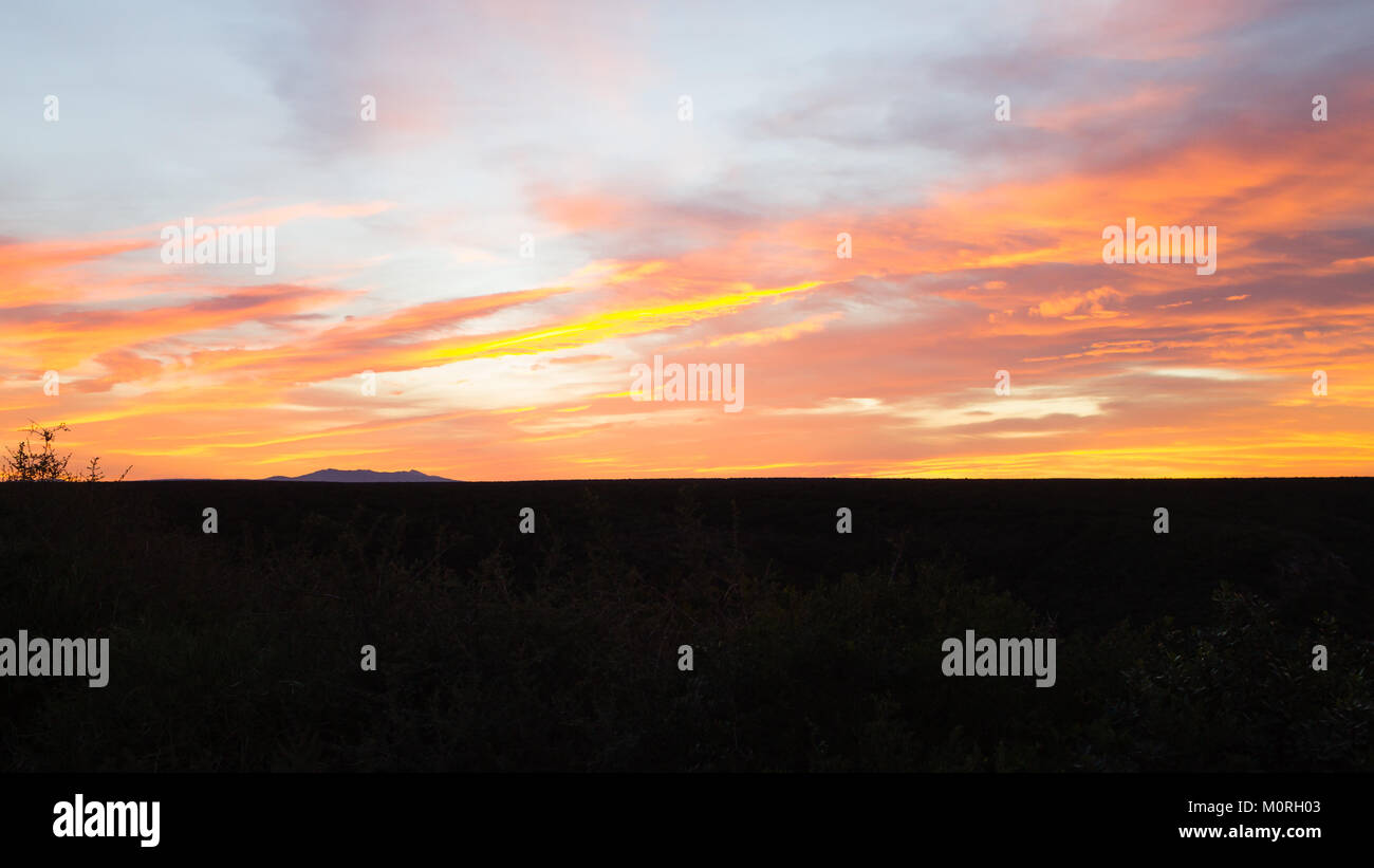 Sunset from Addo Elephant National Park, South Africa. Dramatic sky ...