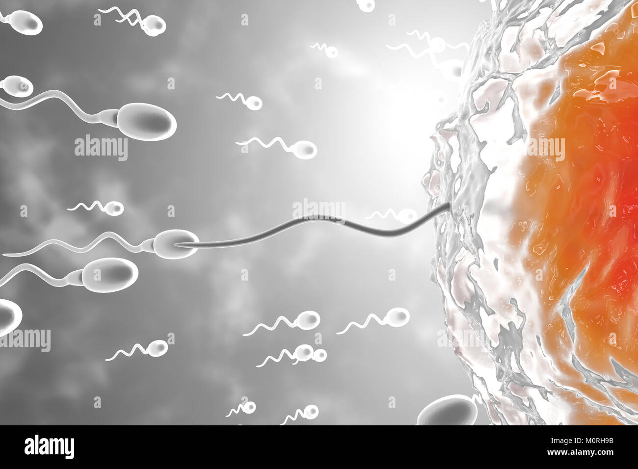 3D Rendered Illustration, visualisation of sperm cells racing to a egg ...
