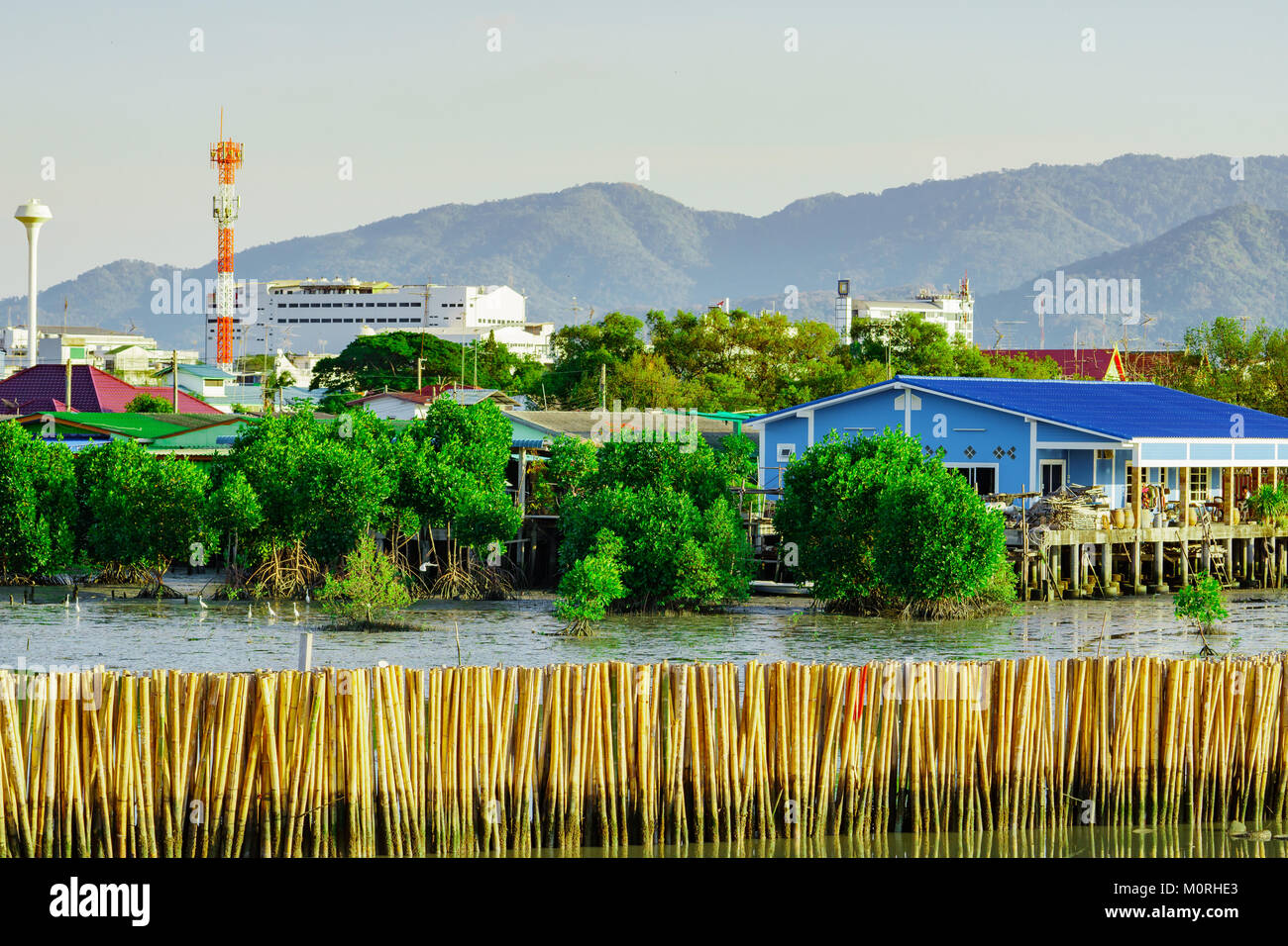 Wave protection fence made from dry bamboos at mangrove forest in the ...