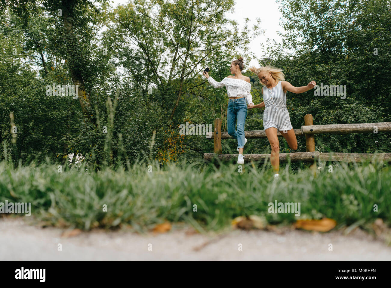 Jumping from a tree hi-res stock photography and images - Alamy