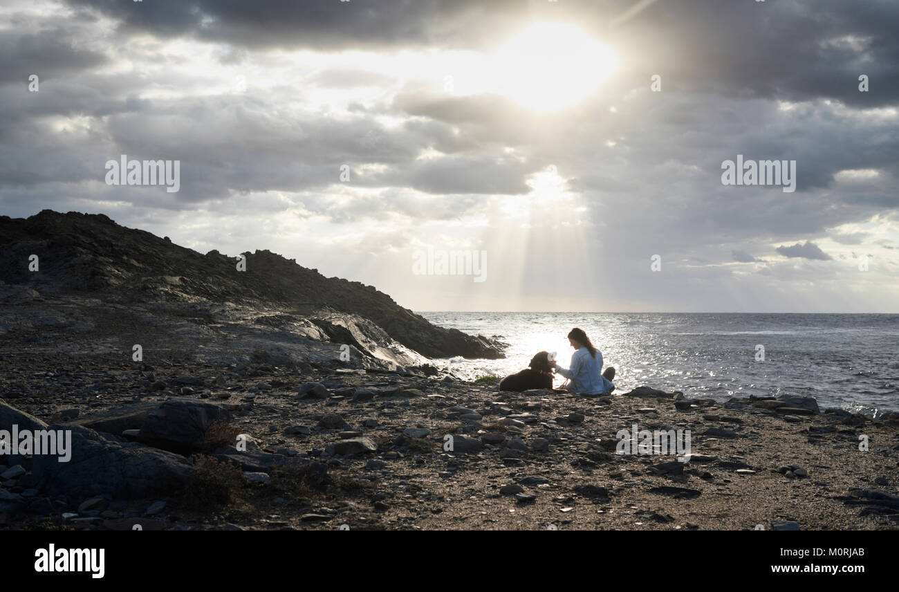 Sitted dog hi-res stock photography and images - Alamy