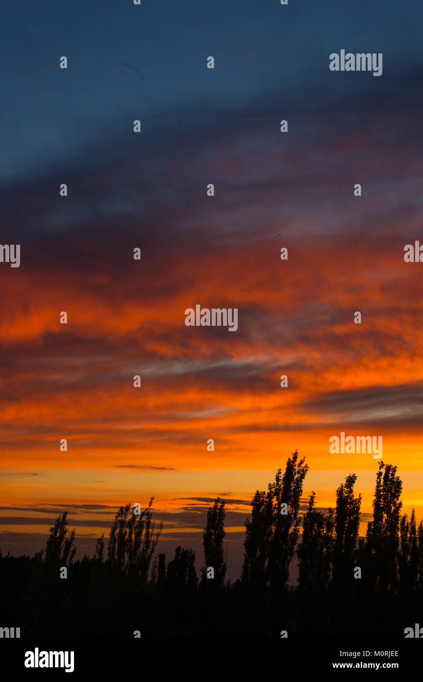 landscape with dramatic light - orange clouds and the outline of trees ...