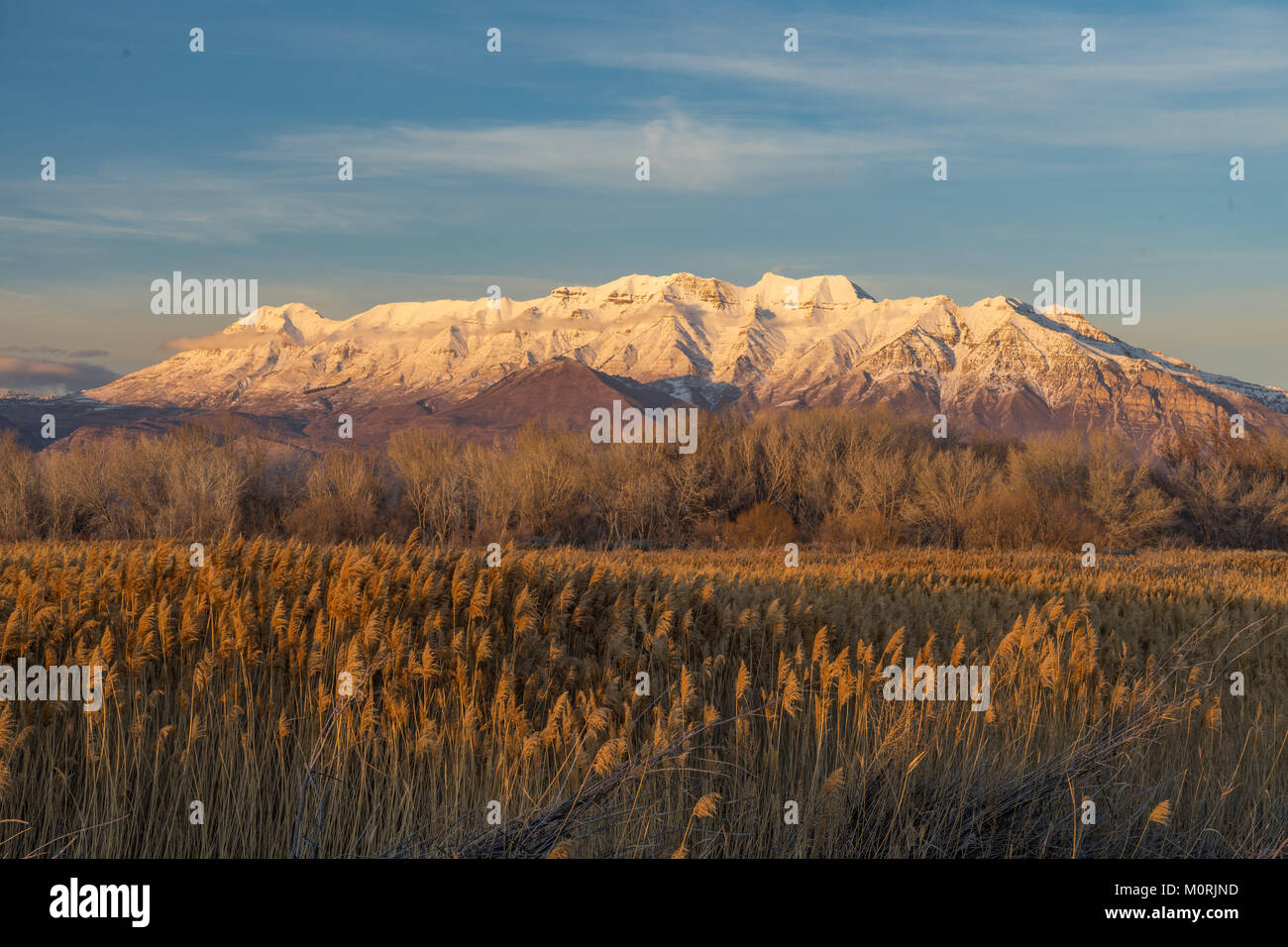 Mt timpanogos and utah lake hi-res stock photography and images - Alamy