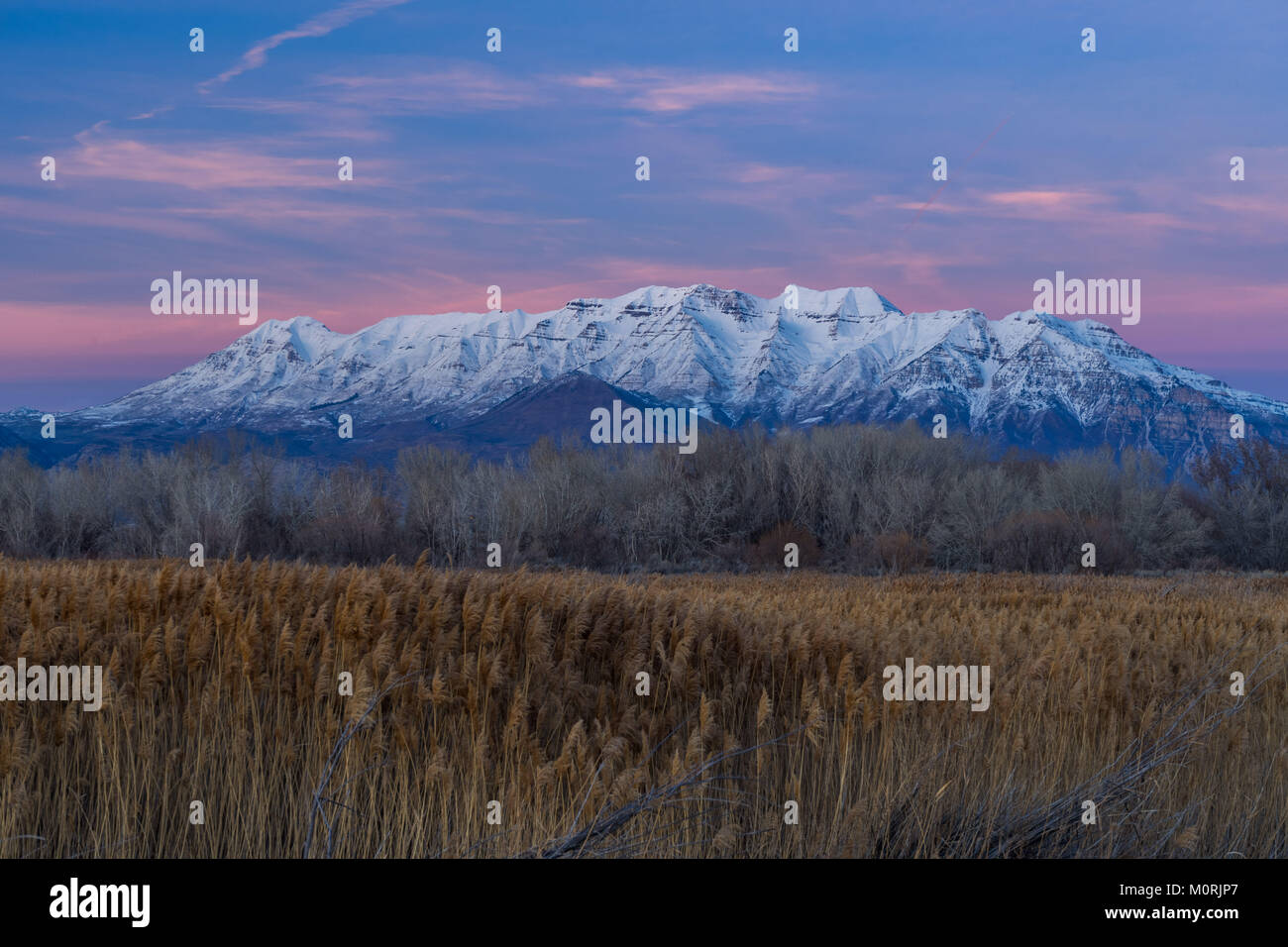 The Scenic Mount Timpanogos at sunset from Provo Utah Stock Photo - Alamy