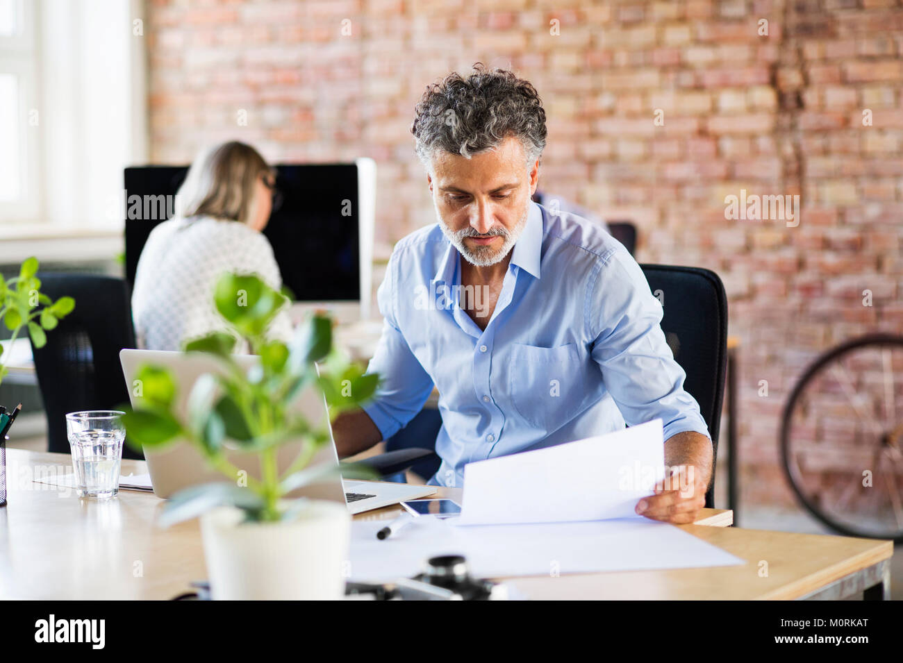 Businessman working in office checking documents Stock Photo - Alamy