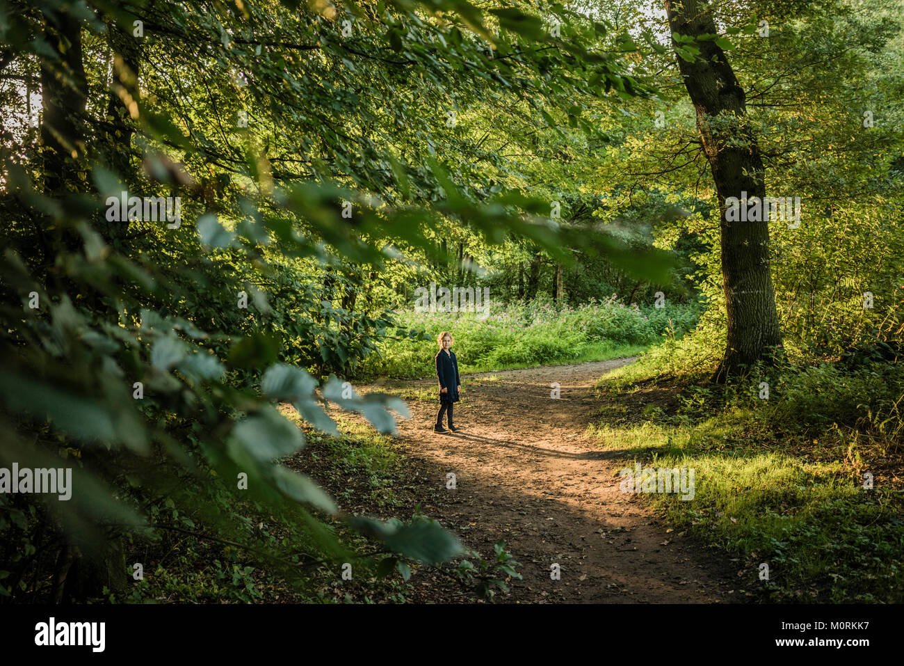 Girl standing on forest path Stock Photo - Alamy