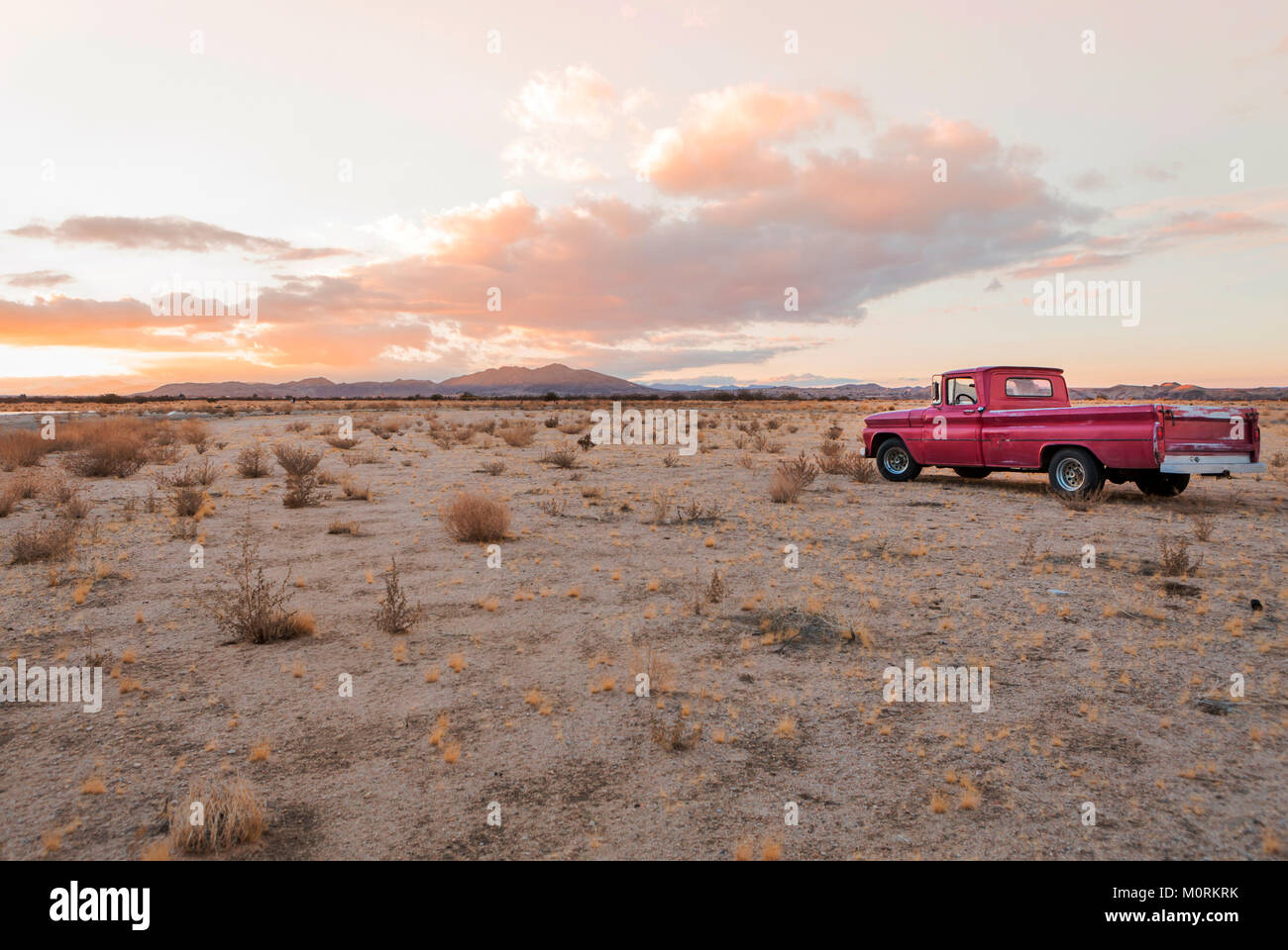 USA, California, Joshua Tree, Pick-Up truck in the desert of Joshua ...