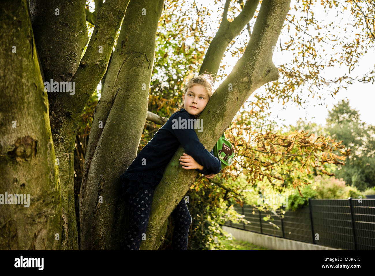 Girl sitting in a tree Stock Photo - Alamy