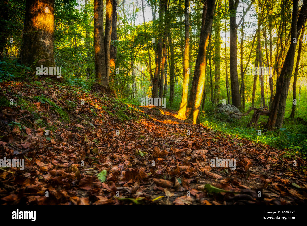 Slovenia, Bovec, Triglav National Park, Kanin Valley in autumn Stock ...