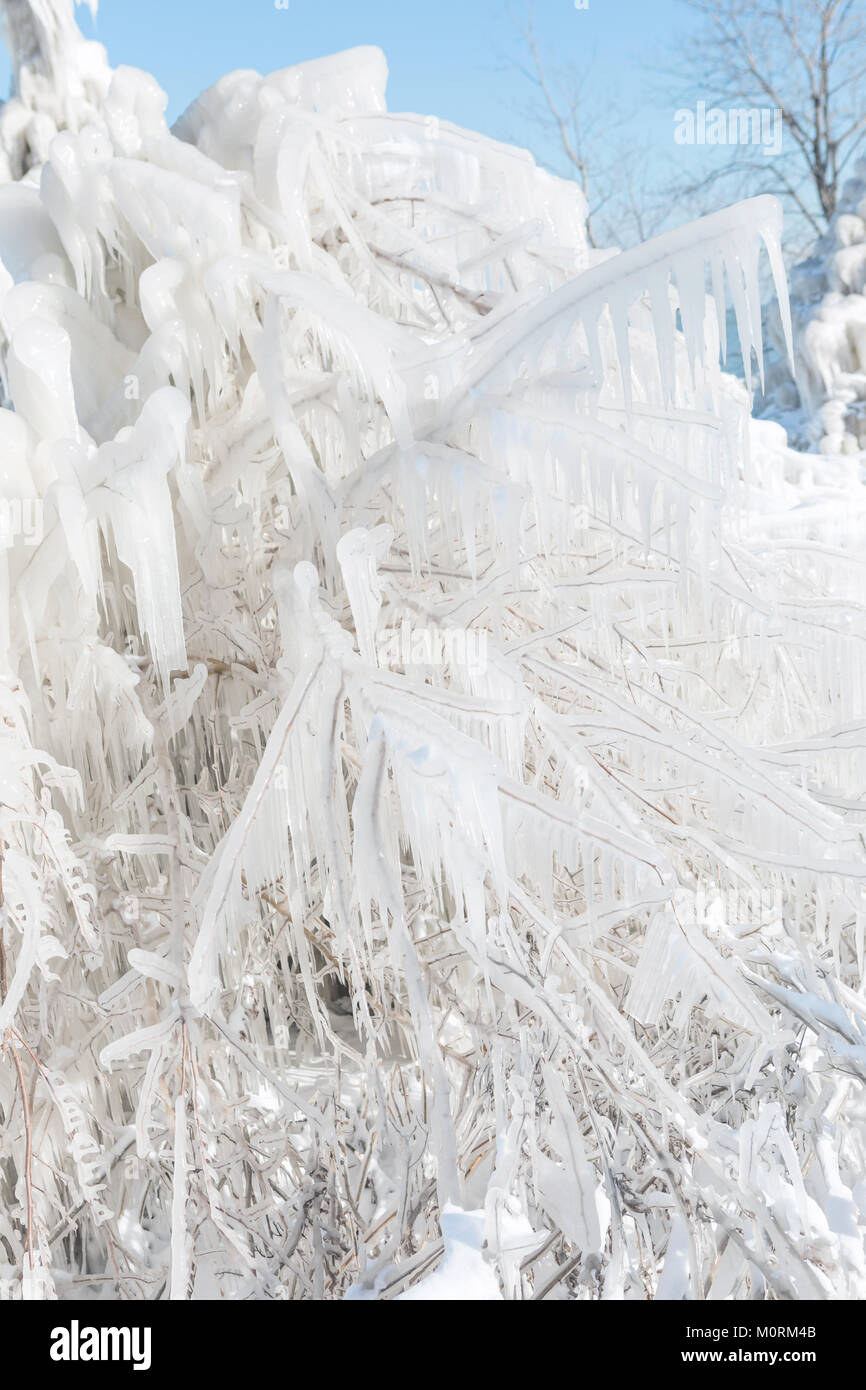 Frozen trees covered in ice forming beautiful icicles Stock Photo - Alamy