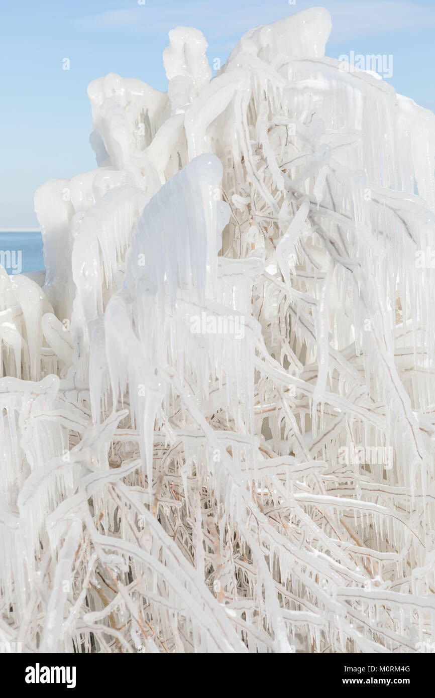 Frozen trees covered in ice froming beautiful icicles Stock Photo - Alamy