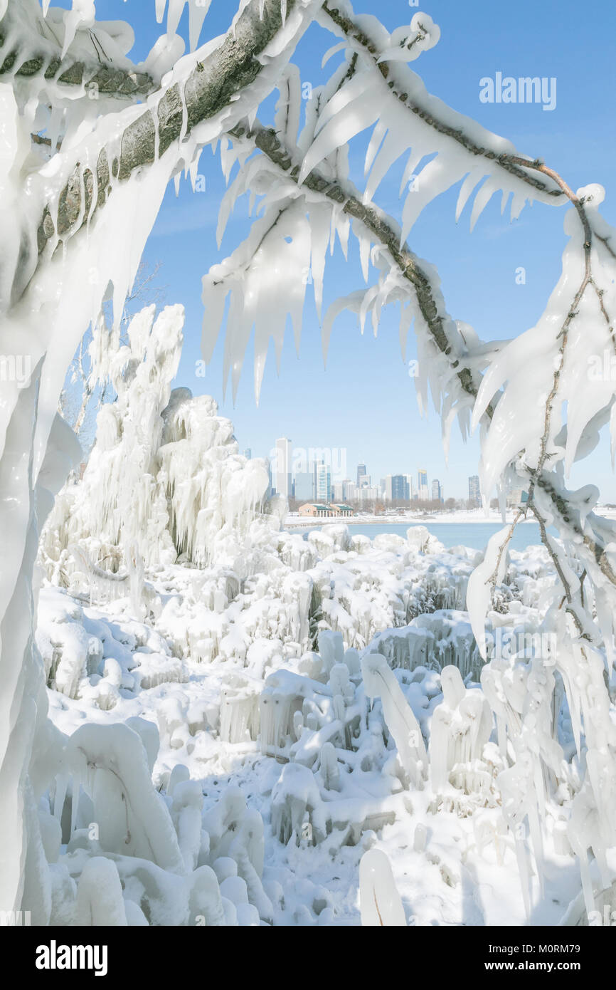 Frozen trees covered in ice by the lake Michigan in Chicago downtown ...