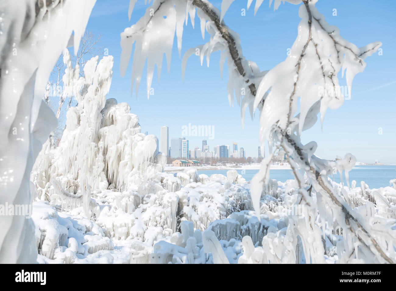 Frozen trees covered in ice by the lake Michigan in Chicago downtown ...