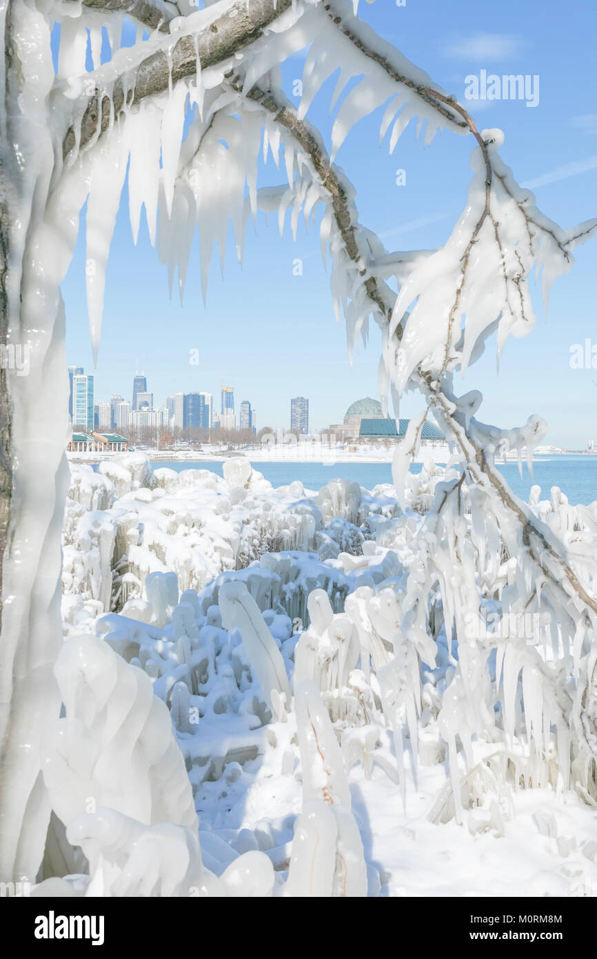 Frozen trees covered in ice by the lake Michigan in Chicago downtown ...