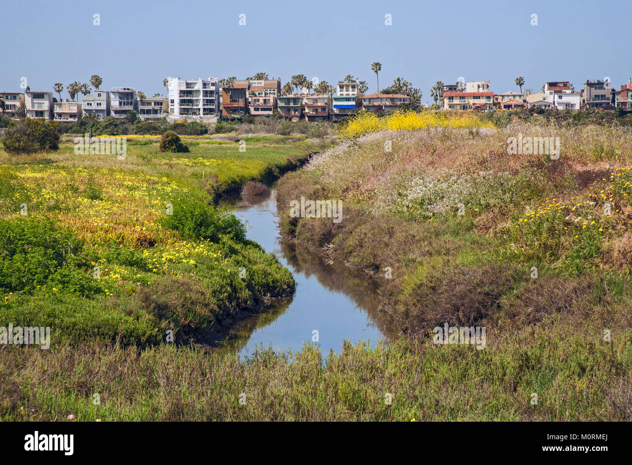 Ballona Wetlands Ecological Reserve High Resolution Stock Photography ...
