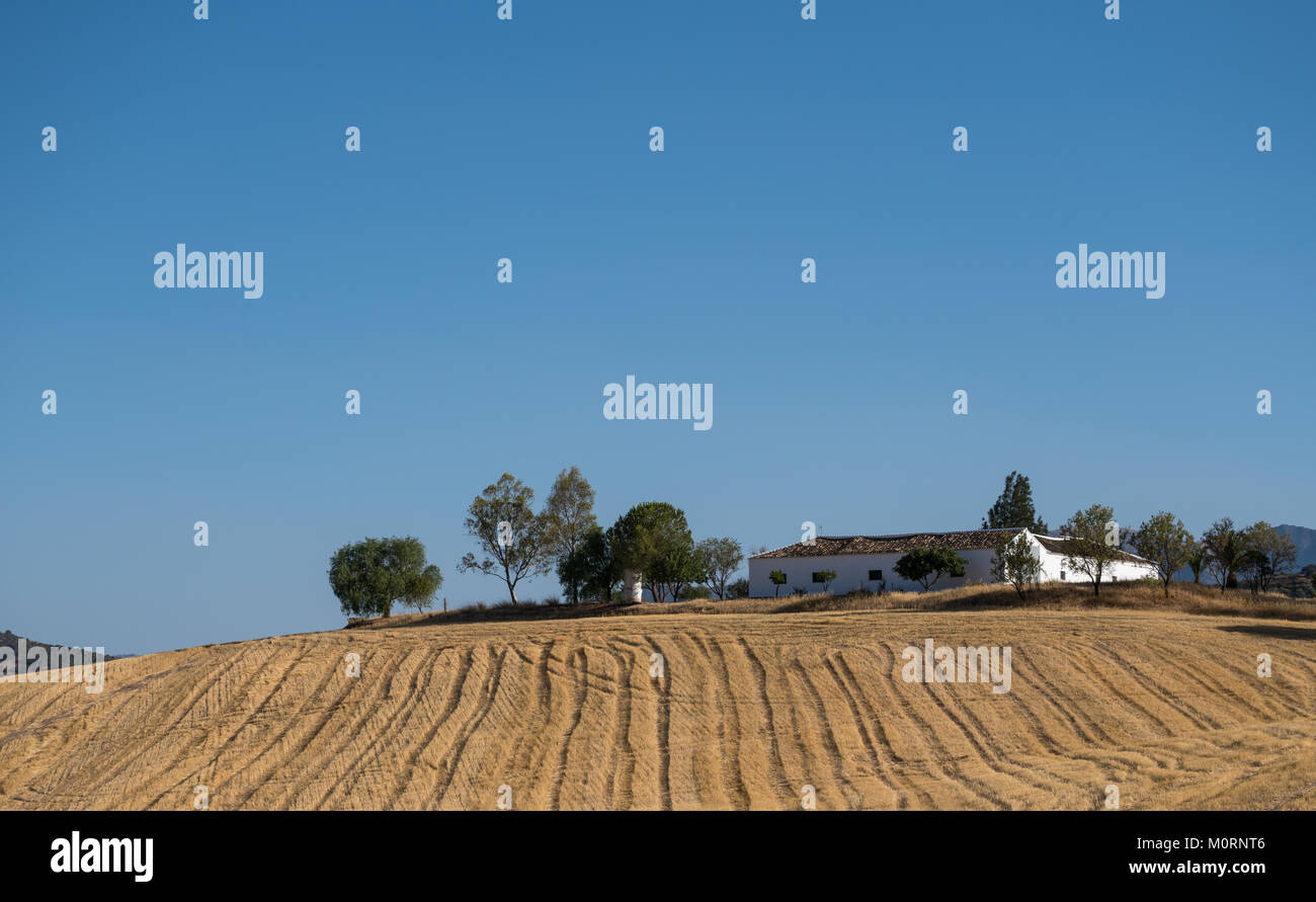 Rural landscape of Andalusia, Spain Stock Photo - Alamy