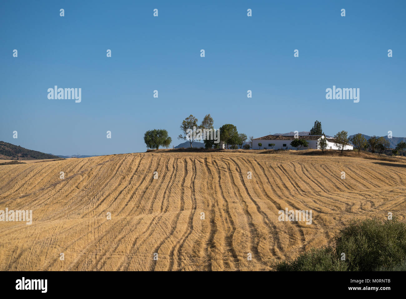 Rural landscape of Andalusia, Spain Stock Photo - Alamy