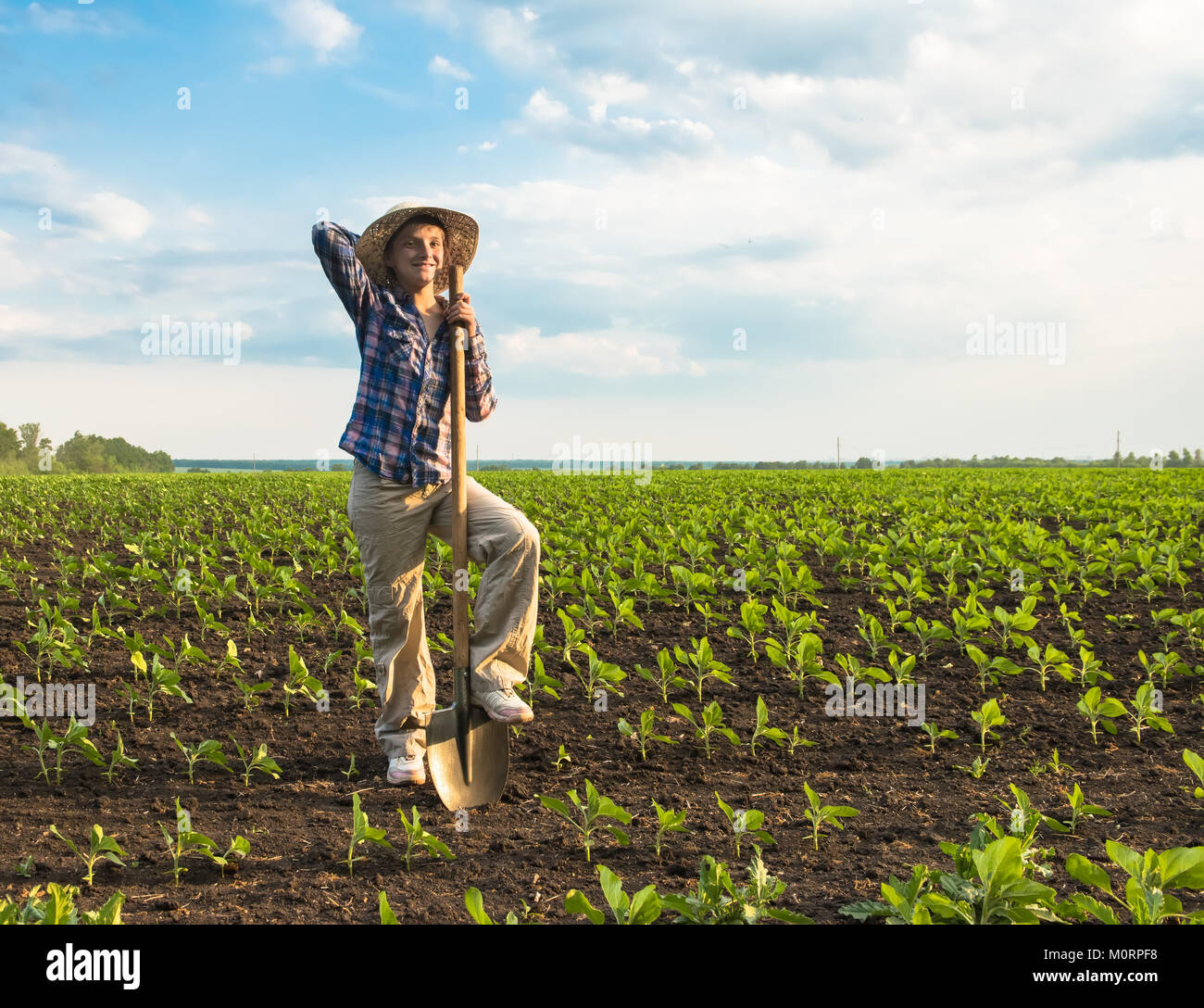 Farmer in agriculture field hi-res stock photography and images - Alamy