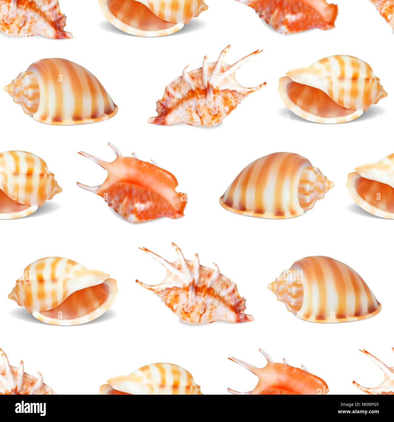 Seashell collection Photorealistic vector illustration. Sketch. Ocean ...
