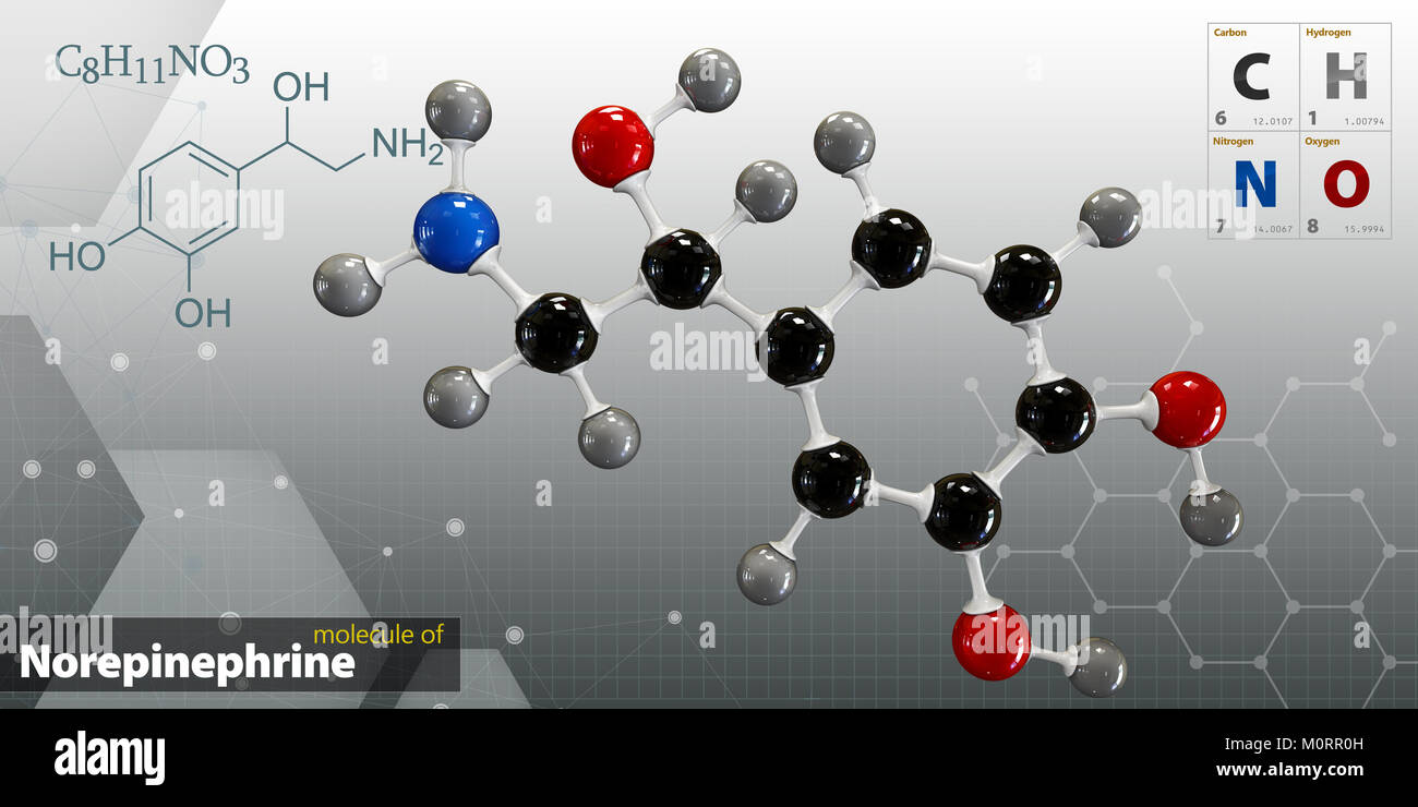 3d Illustration of Norepinephrine Molecule isolated gray background ...