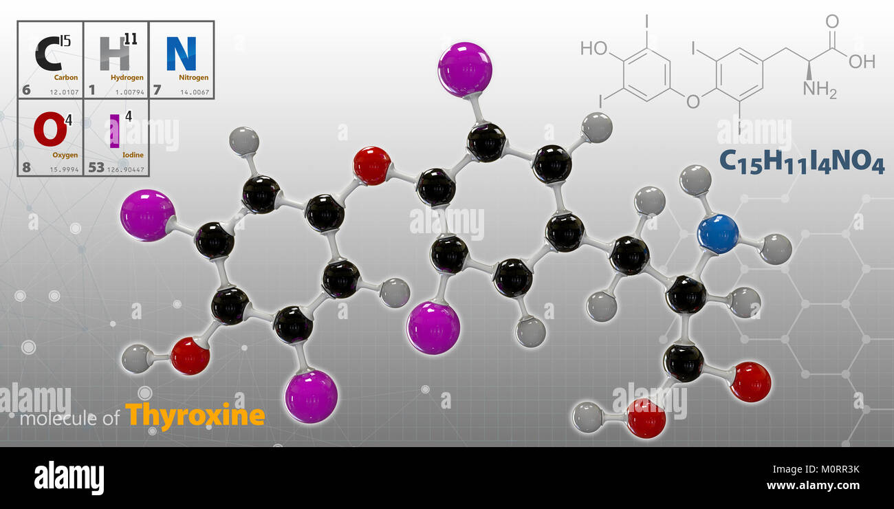 3d Illustration of Thyroxine Molecule isolated gray background Stock Photo - Alamy