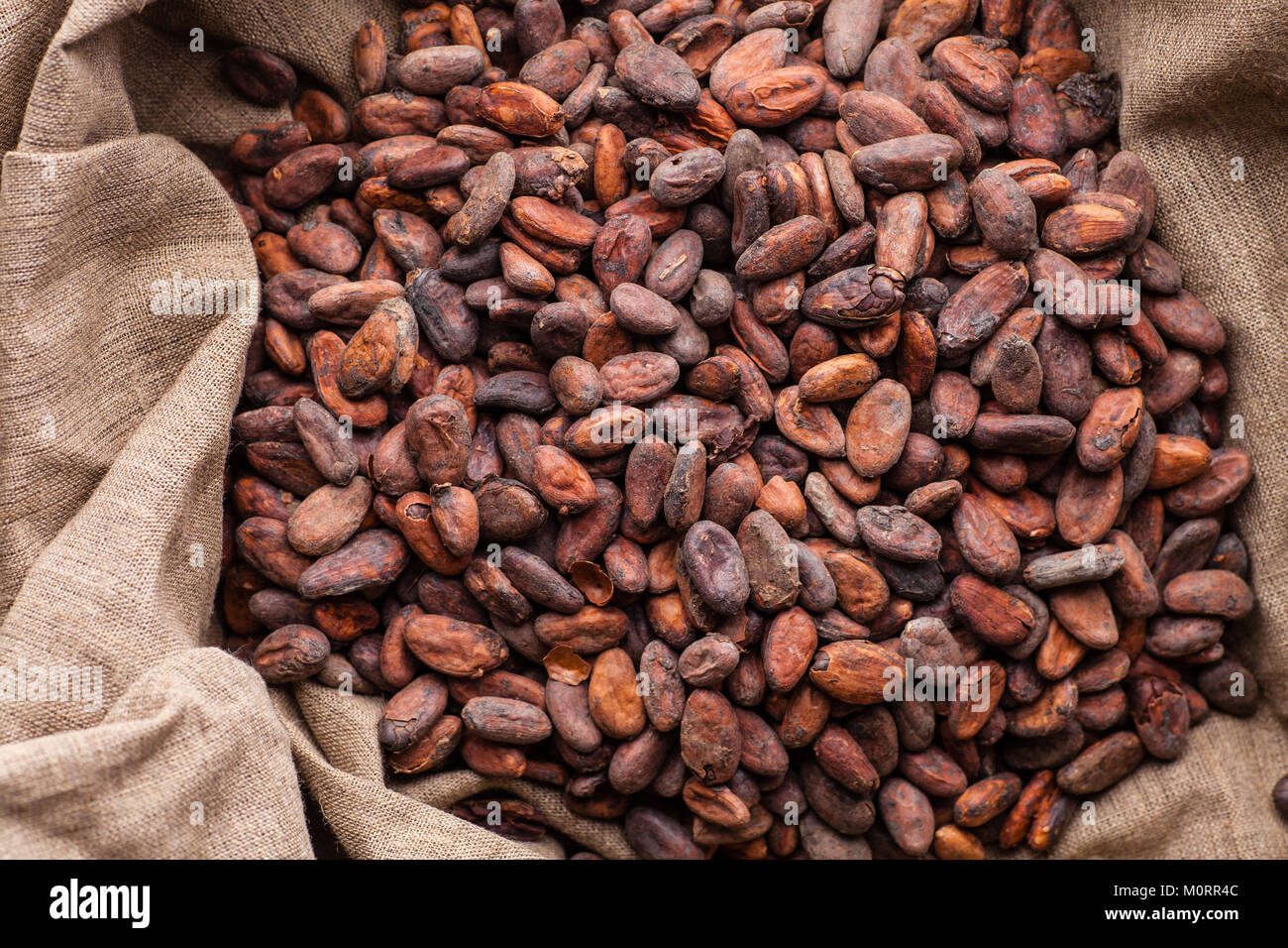 Freshly harvested raw cocoa beans in a sack Stock Photo - Alamy