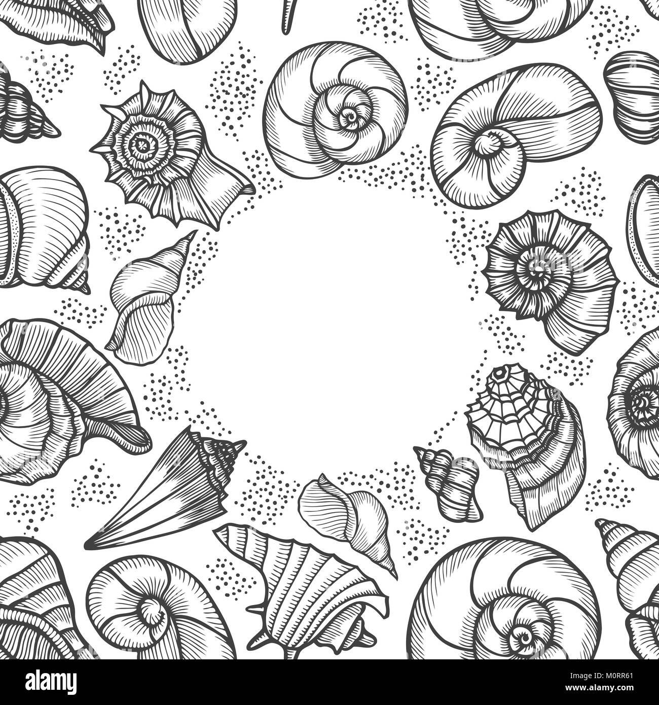 Vintage seafood frame vector illustration. Hand drawn Seashell with ink ...