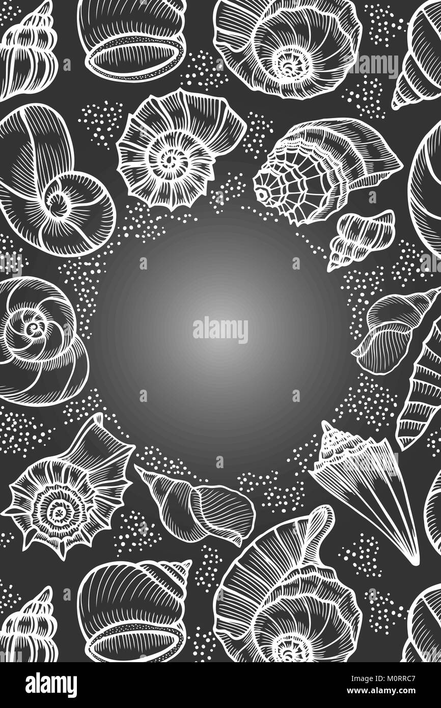 Seashells hand drawn vector etching sketch isolated on black background ...
