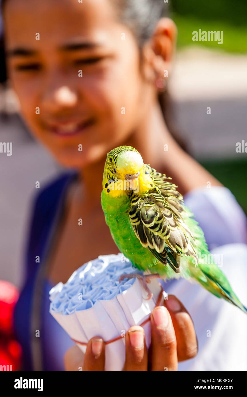 Uzbek children samarkand central asia hi-res stock photography and ...