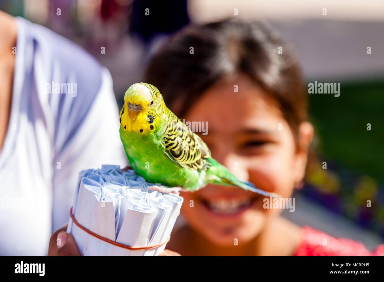 Uzbek Children and Their Pet Birds, The Registan, Samarkand, Uzbekistan ...