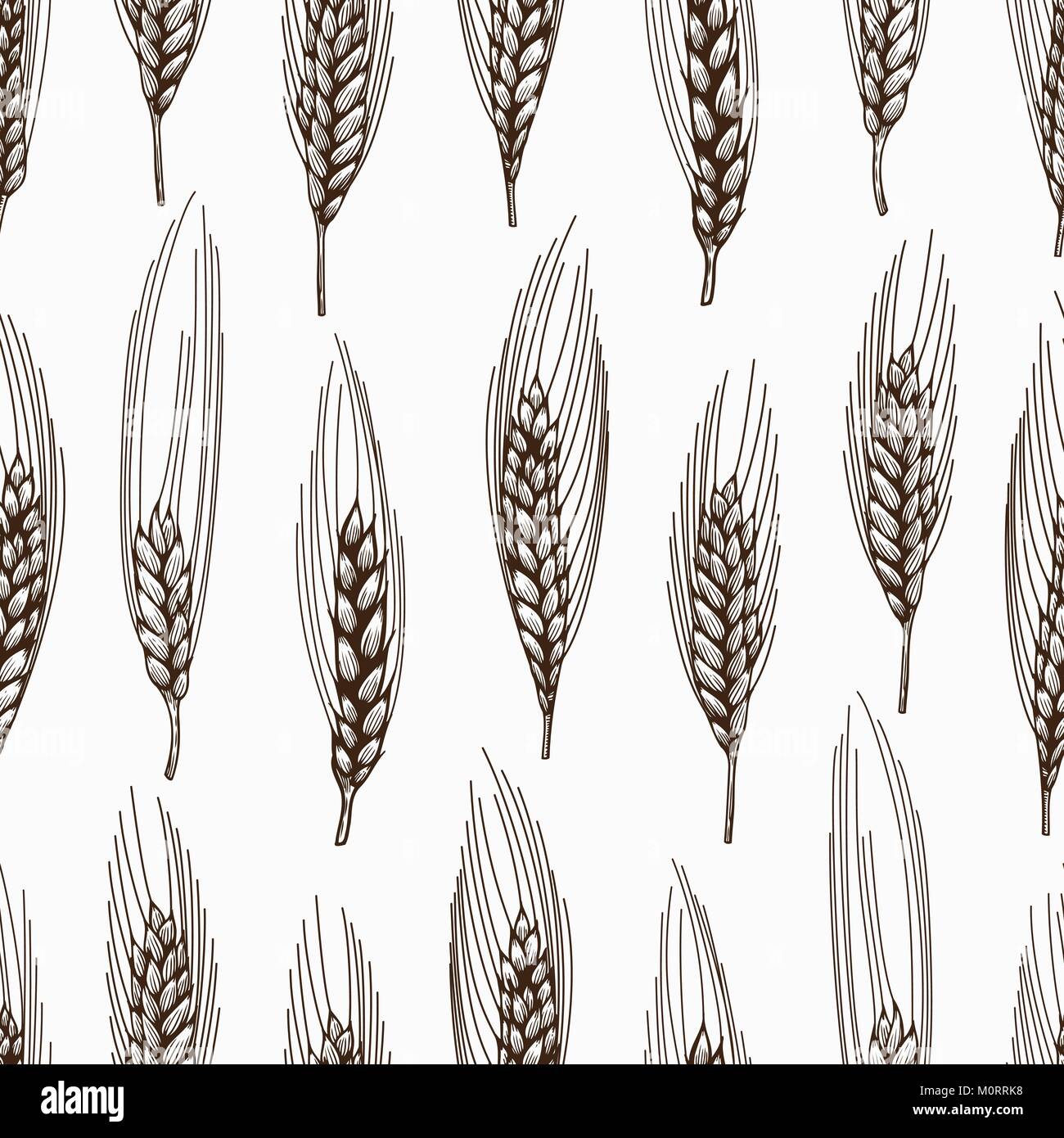 Vector seamless pattern with hand drawn ear of wheat. Black and white ...