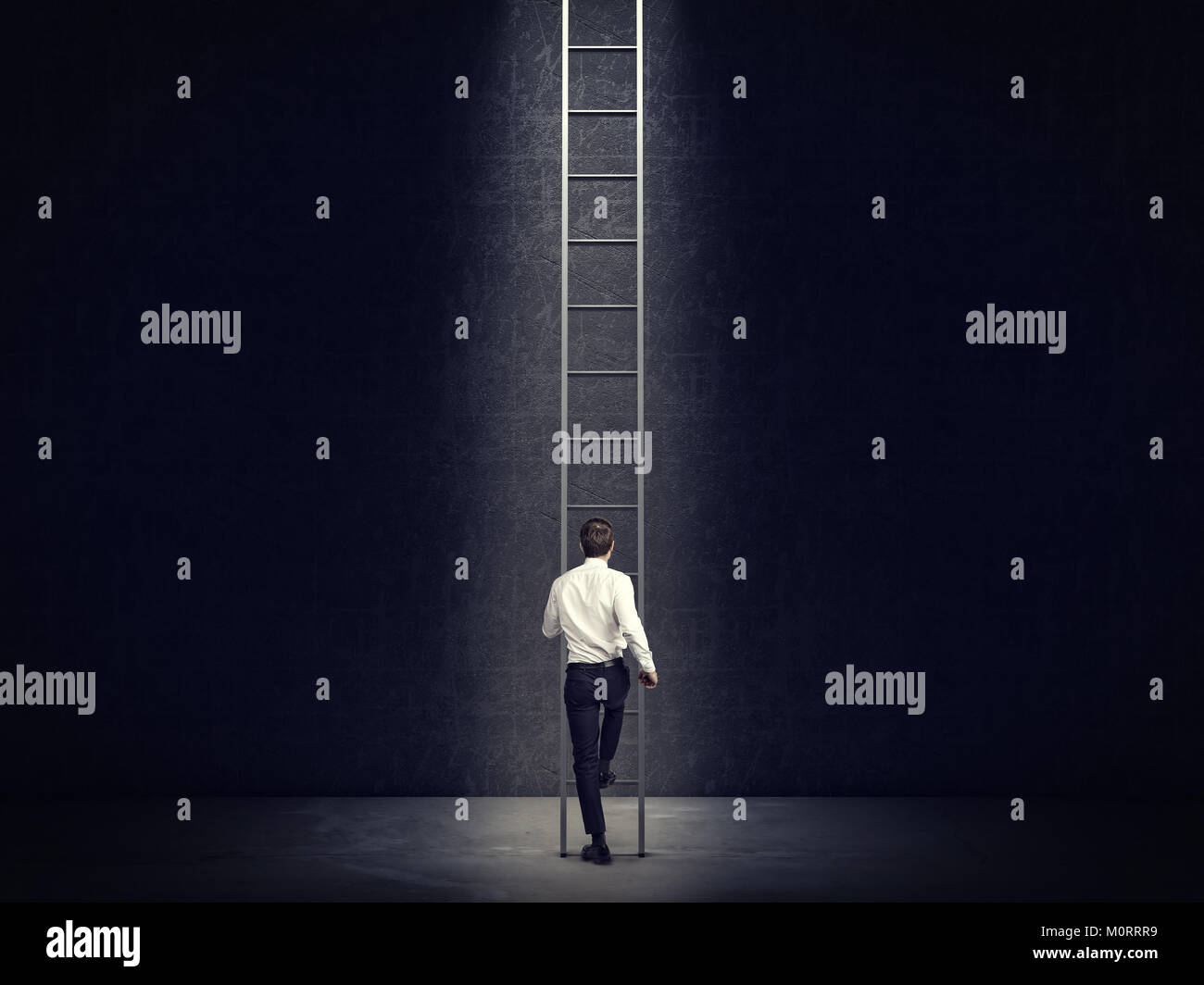 Tall ladder hi-res stock photography and images - Alamy