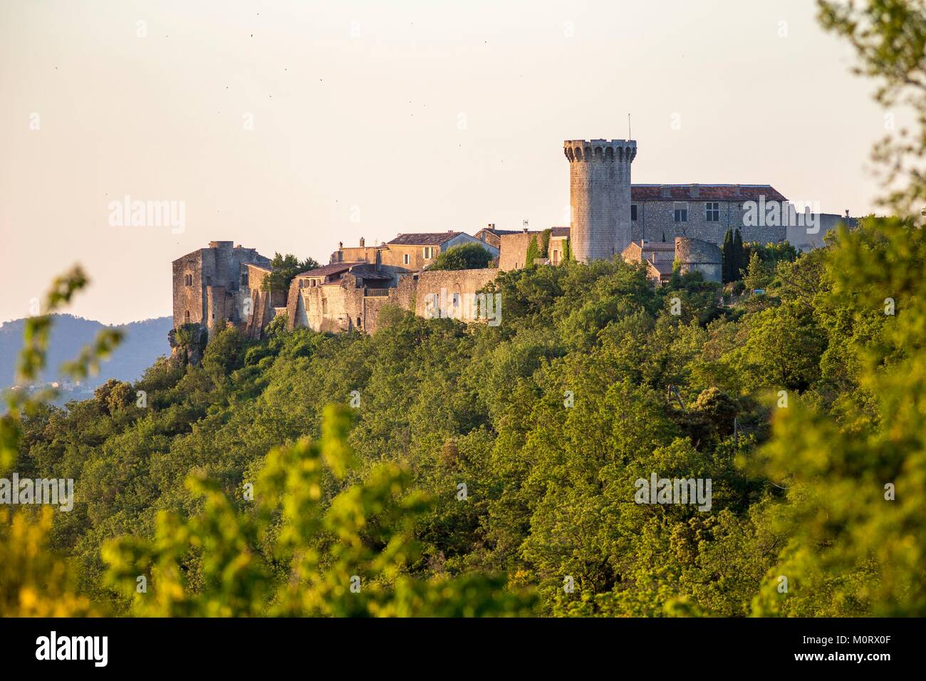 France,Vaucluse,regional natural reserve of Luberon,Viens,the village ...