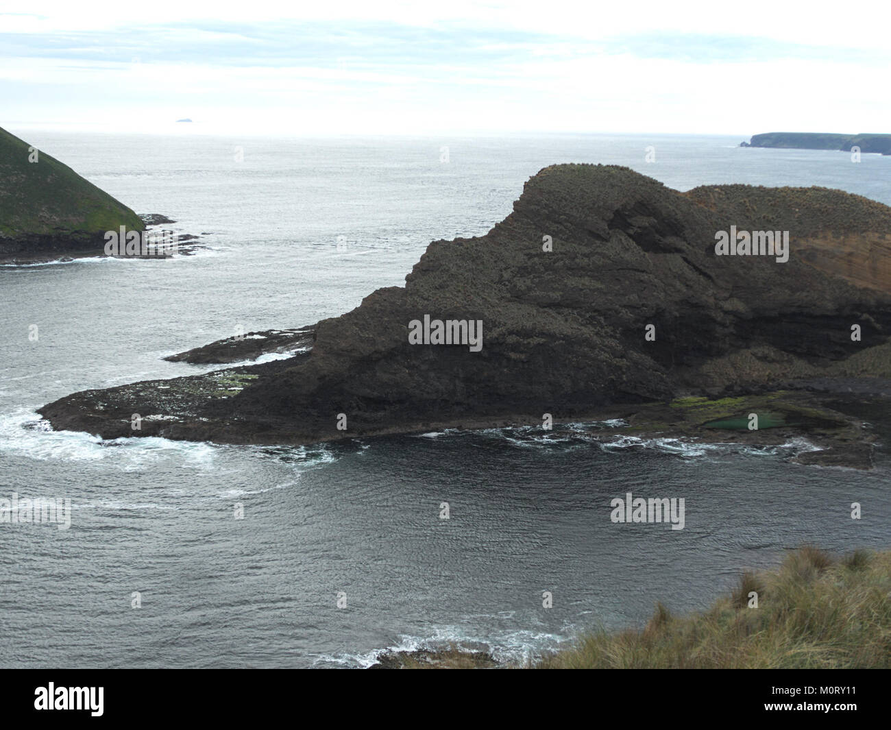 Cape grim tasmania hi-res stock photography and images - Alamy
