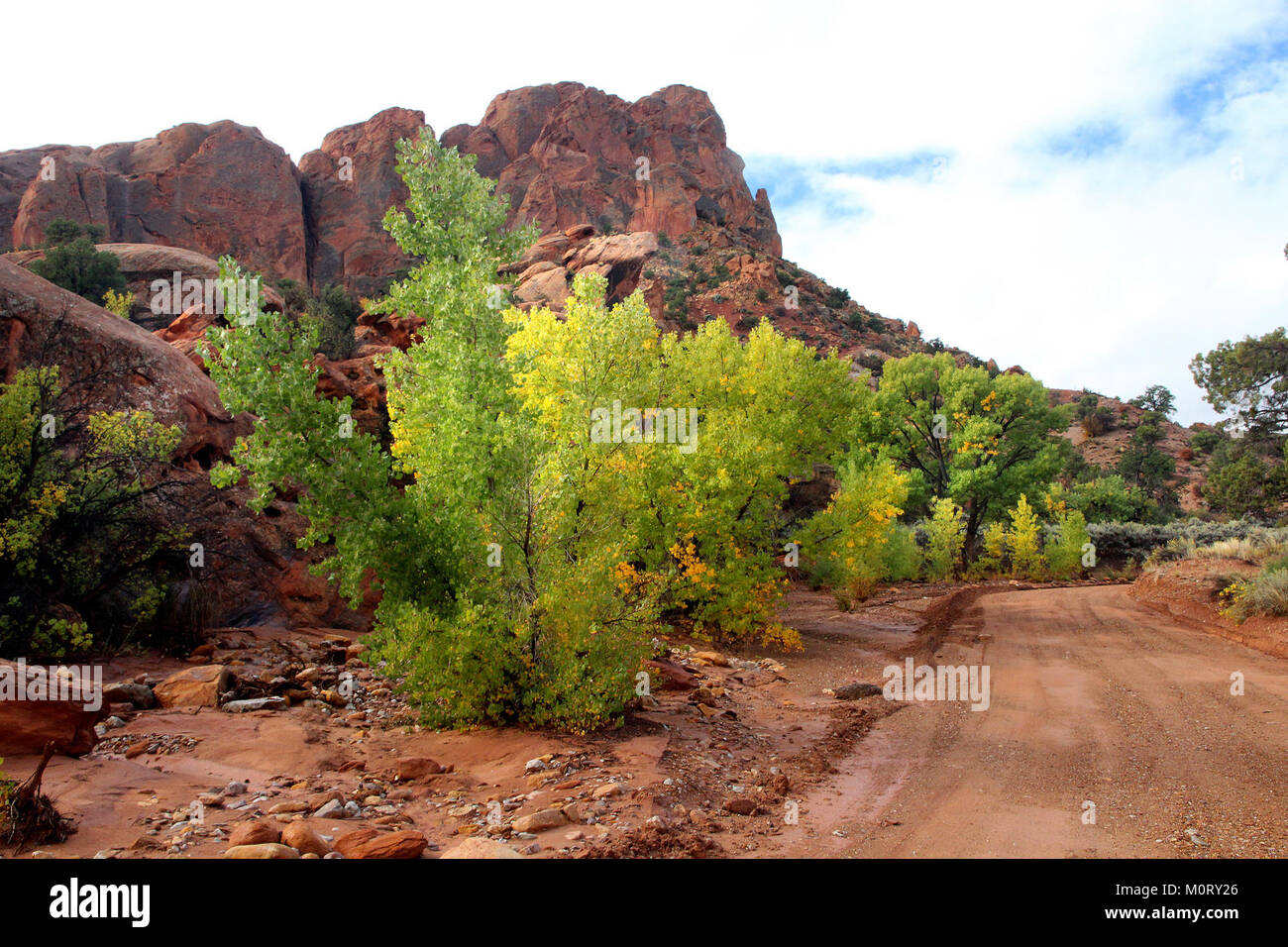 Garfield park east hi-res stock photography and images - Alamy