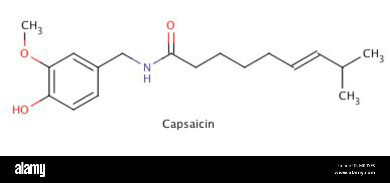 Capsaicin is the active compound found in chili peppers that gives them ...