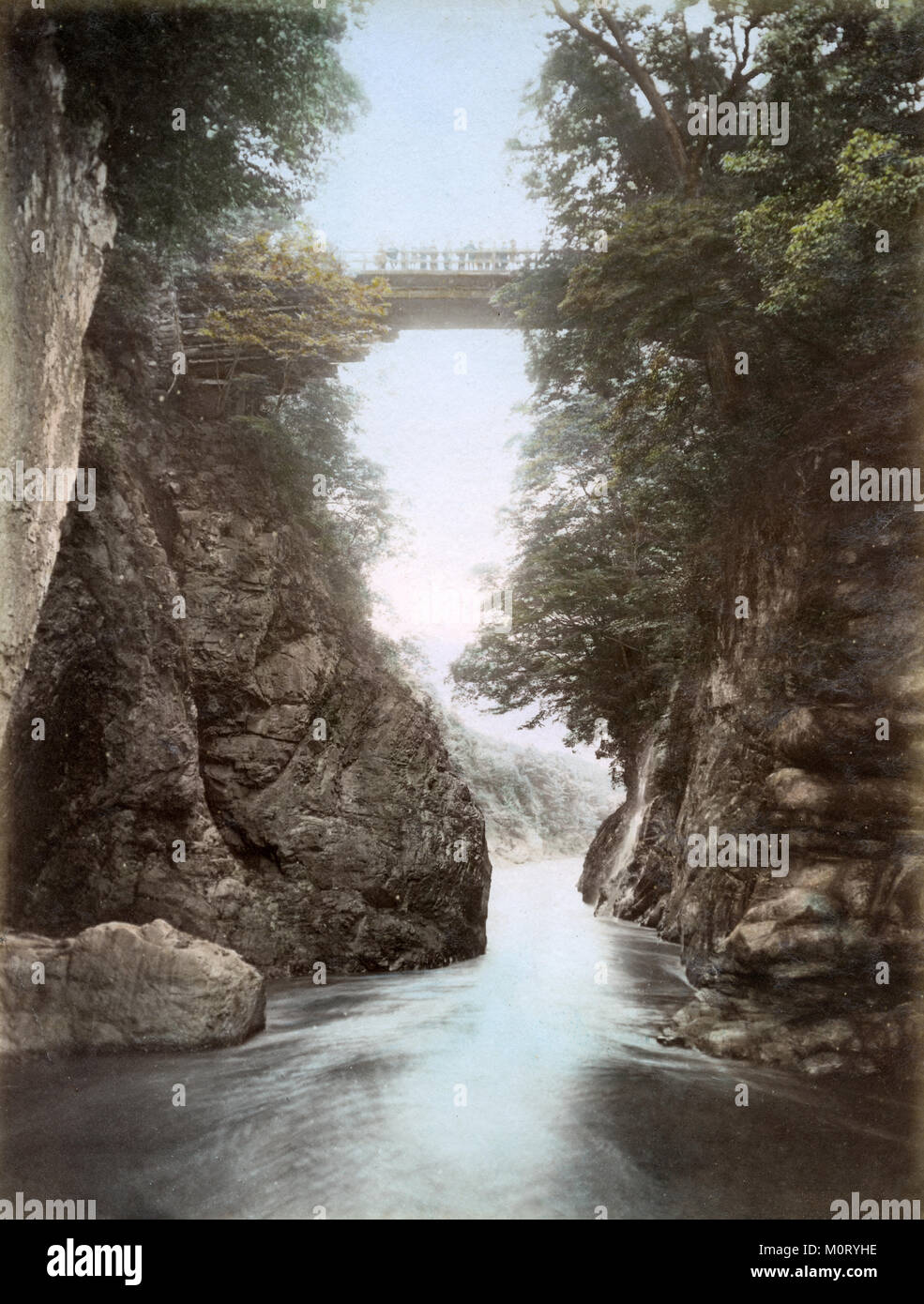 Monkey bridge hi-res stock photography and images - Alamy