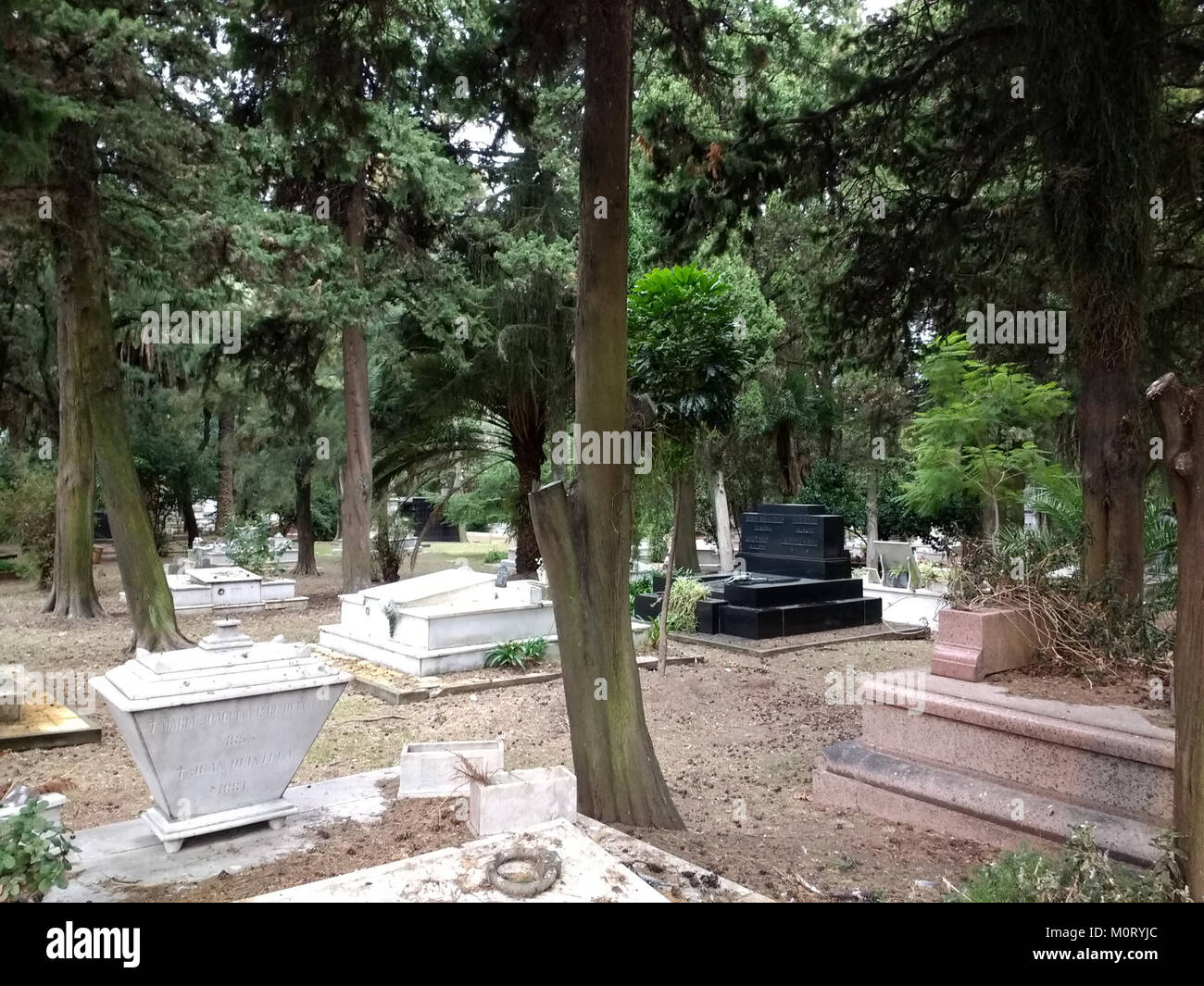 Cementerio del Buceo is a cemetery in Montevideo, Uruguay, known for ...